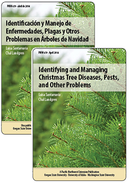 Identifying and Managing Christmas Tree Diseases, Pests, and Other ...