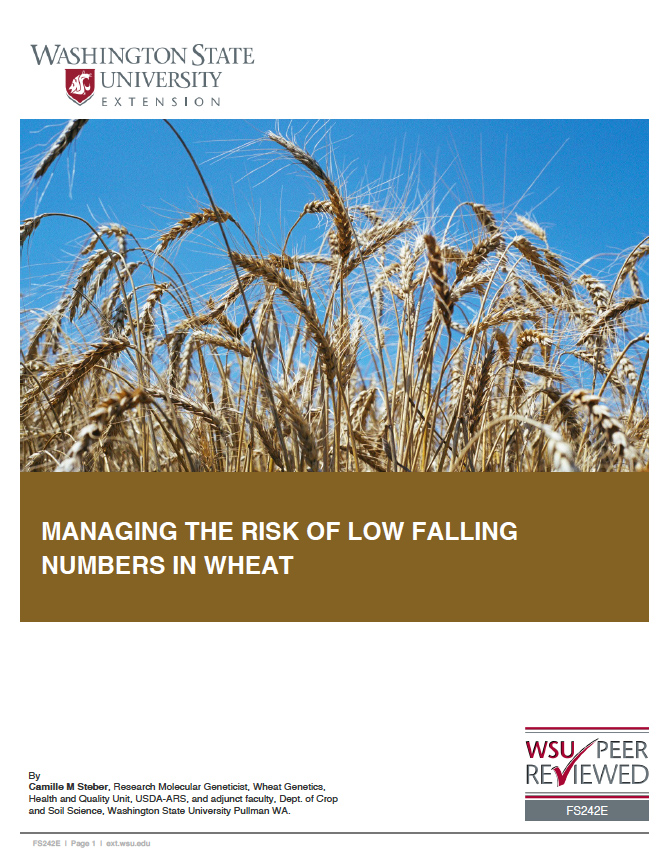 Managing the Risk of Low Falling Numbers in Wheat | WSU Extension ...