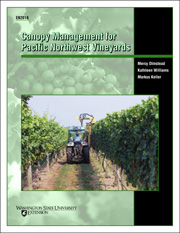 Canopy Management for Pacific Northwest Vineyards | WSU Extension ...