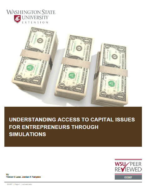 Understanding Access to Capital Issues for Entrepreneurs Through ...