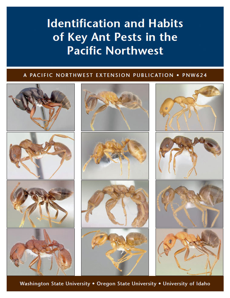 Identification and Habits of Key Ant Pests in the Pacific Northwest ...