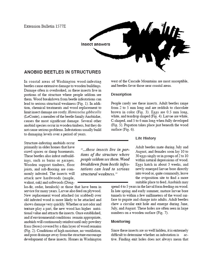 Anobiid Beetles in Structures | WSU Extension Publications | Washington ...