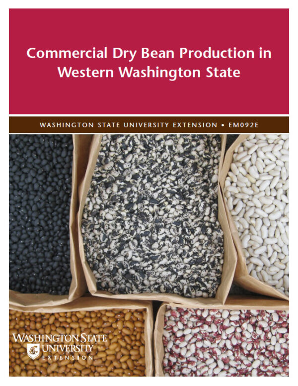 Commercial Dry Bean Production in Western Washington | WSU Extension ...