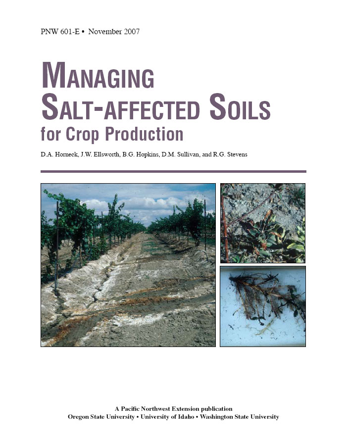 Managing Salt-Affected Soils for Crop Production | WSU Extension ...