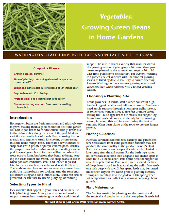 Vegetables: Growing Green Beans in Home Gardens (Home Garden Series ...