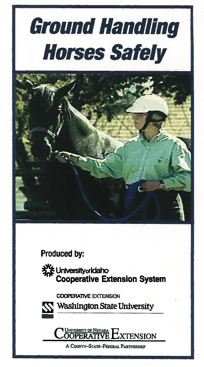Ground Handling Horses Safely Video | WSU Extension Publications ...