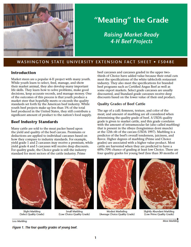 Meating the Grade: Raising Market-Ready 4-H Beef Projects | WSU ...