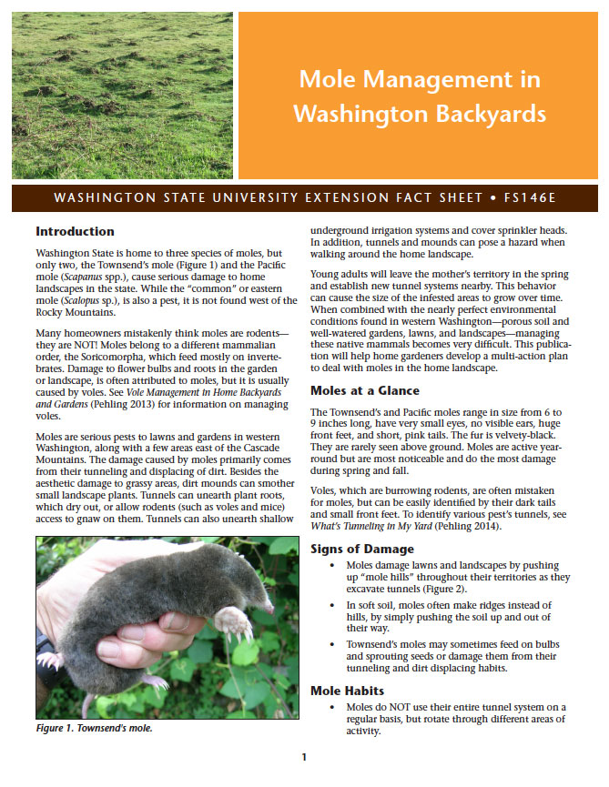 Mole Management in Washington Backyards (Home Garden Series) | WSU ...