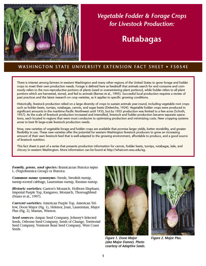 Vegetable Fodder and Forage Crops for Livestock Production: Rutabagas ...