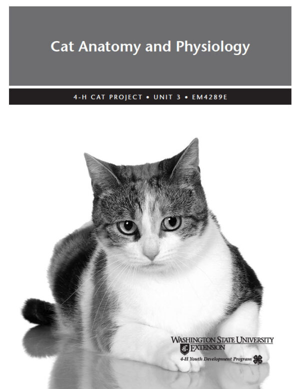 Cat Anatomy & Physiology Unit 3 | WSU Extension Publications ...