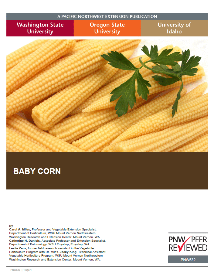 Baby Corn | WSU Extension Publications | Washington State University