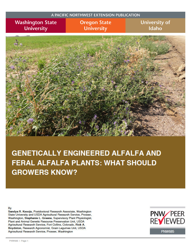 Genetically Engineered Alfalfa and Feral Alfalfa Plants: What Should ...