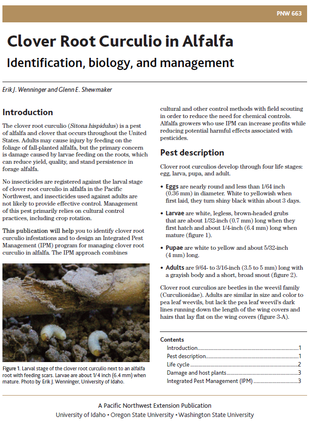 Clover Root Curculio in Alfalfa: Identification, Biology, and ...