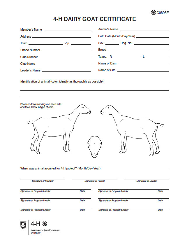 4-H Dairy Goat Certificate | WSU Extension Publications | Washington ...