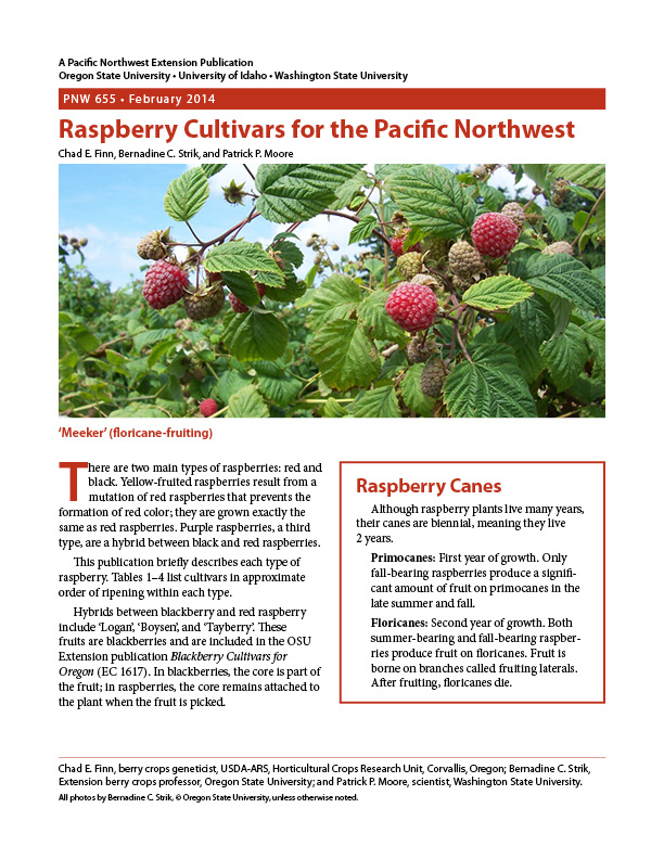 Raspberry Cultivars for the Pacific Northwest | WSU Extension ...