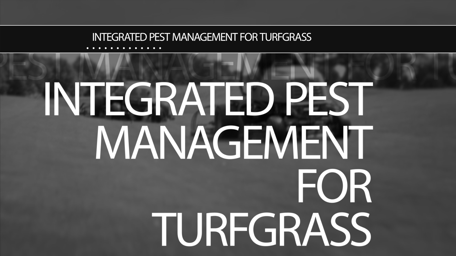 Integrated Pest Management for Turfgrass (video) | WSU Extension ...
