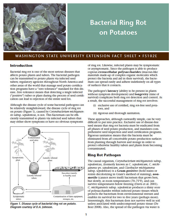 Bacterial Ring Rot on Potatoes | WSU Extension Publications ...