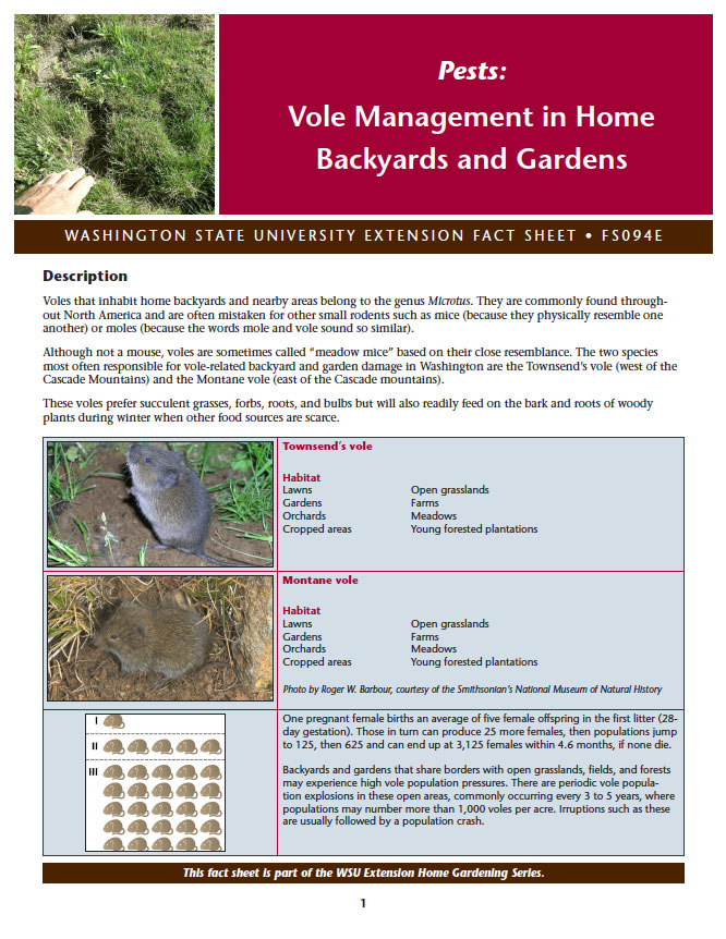Vole Management in Home Backyards and Gardens (Home Garden Series ...