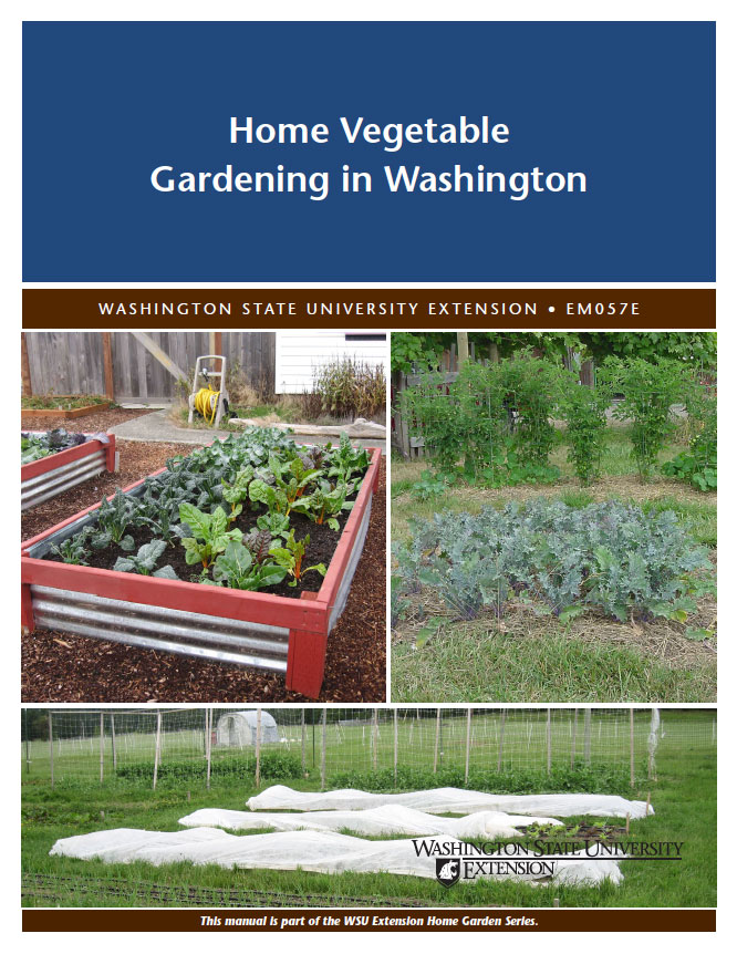 Home Vegetable Gardening in Washington (Home Garden Series) | WSU ...