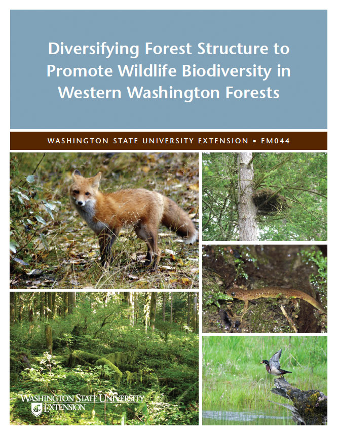 Diversifying Forest Structure to Promote Wildlife Biodiversity in ...