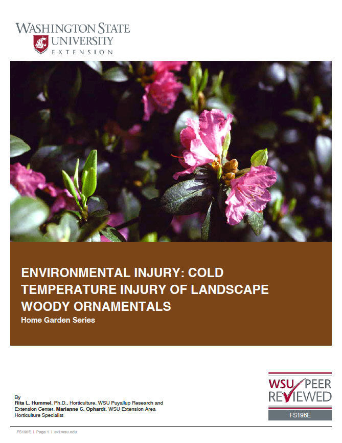 Environmental Injury: Cold Temperature Injury of Landscape Woody ...