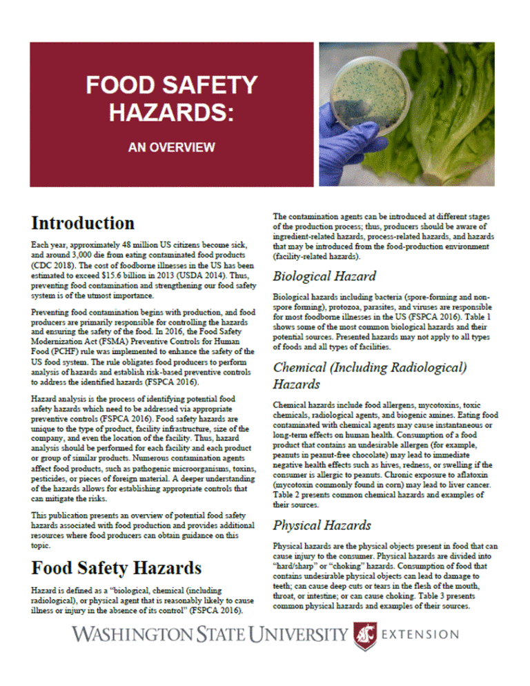 Food Safety Hazards: An Overview | WSU Extension Publications ...