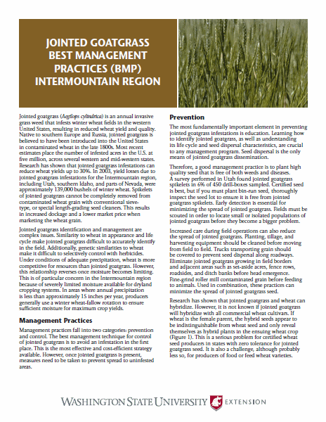 Jointed Goatgrass: Best Management Practices (BMP) Intermountain Region ...