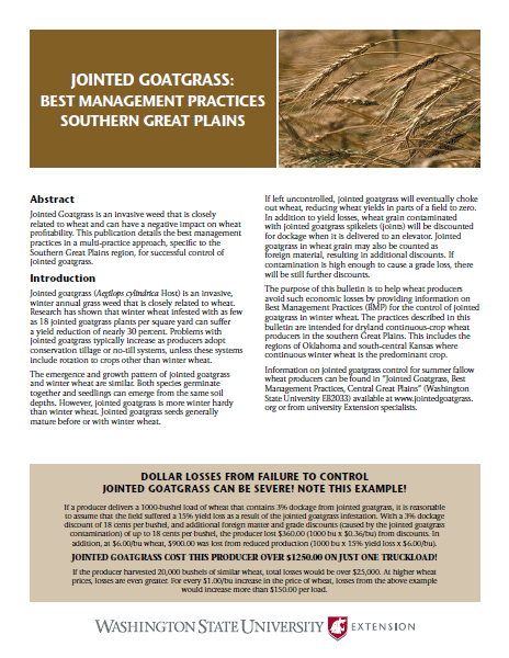 Jointed Goatgrass Best Management Practices Southern Great Plains | WSU ...