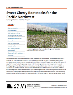 Sweet Cherry Rootstocks for the Pacific Northwest | WSU Extension Publications | Washington ...