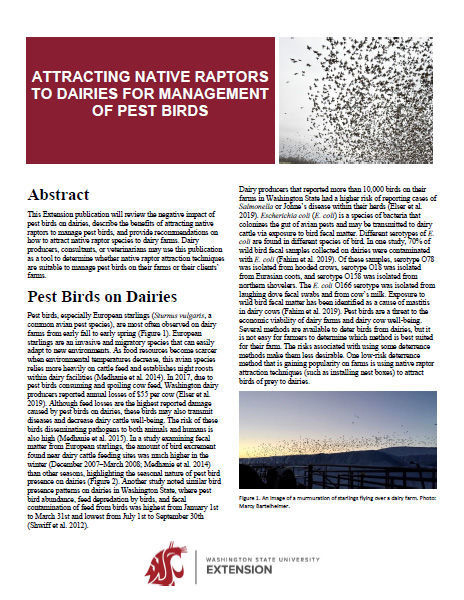 Attracting Native Raptors to Dairies for Management of Pest Birds | WSU ...