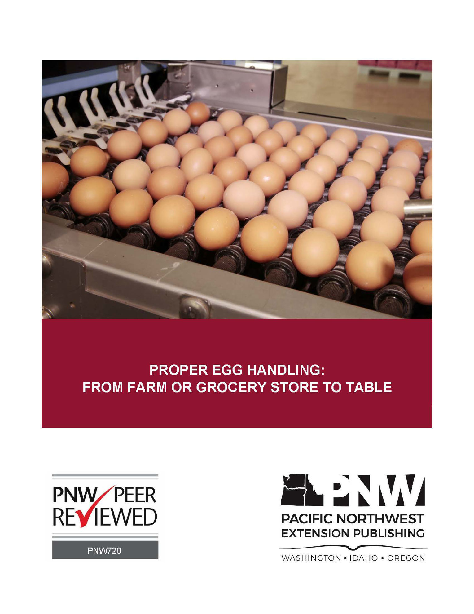 Proper Egg Handling: From Farm or Grocery Store to Table | WSU ...