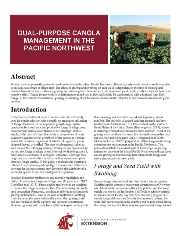 Dual-Purpose Canola Management in the Pacific Northwest | WSU Extension ...