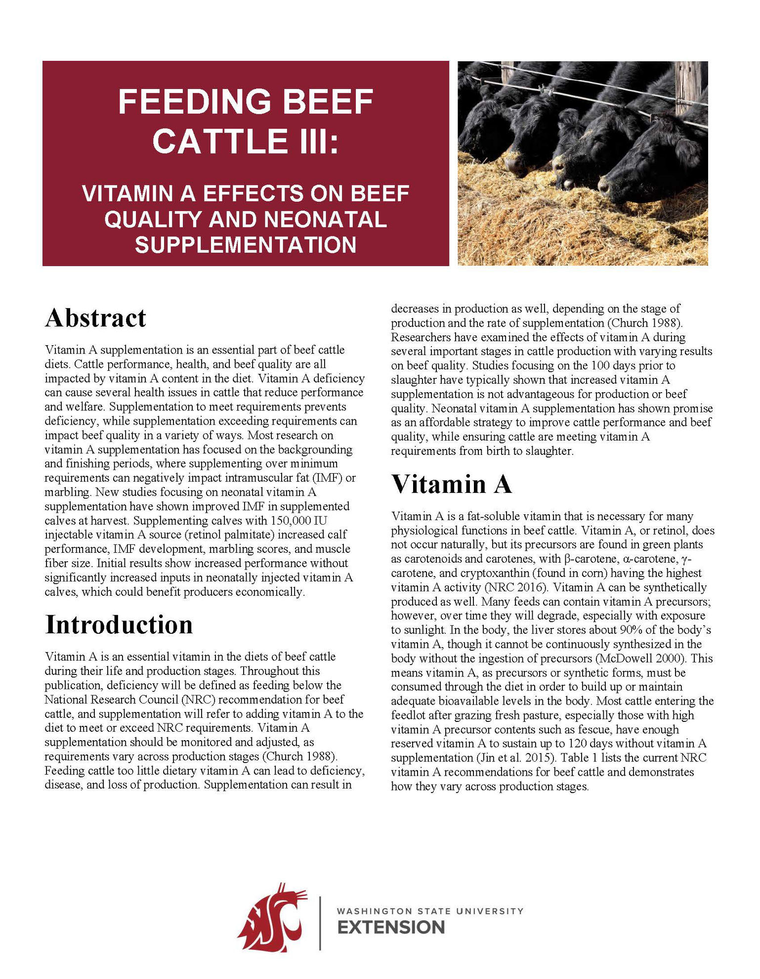 Feeding Beef Cattle III: Vitamin A Effects on Beef Quality and Neonatal ...