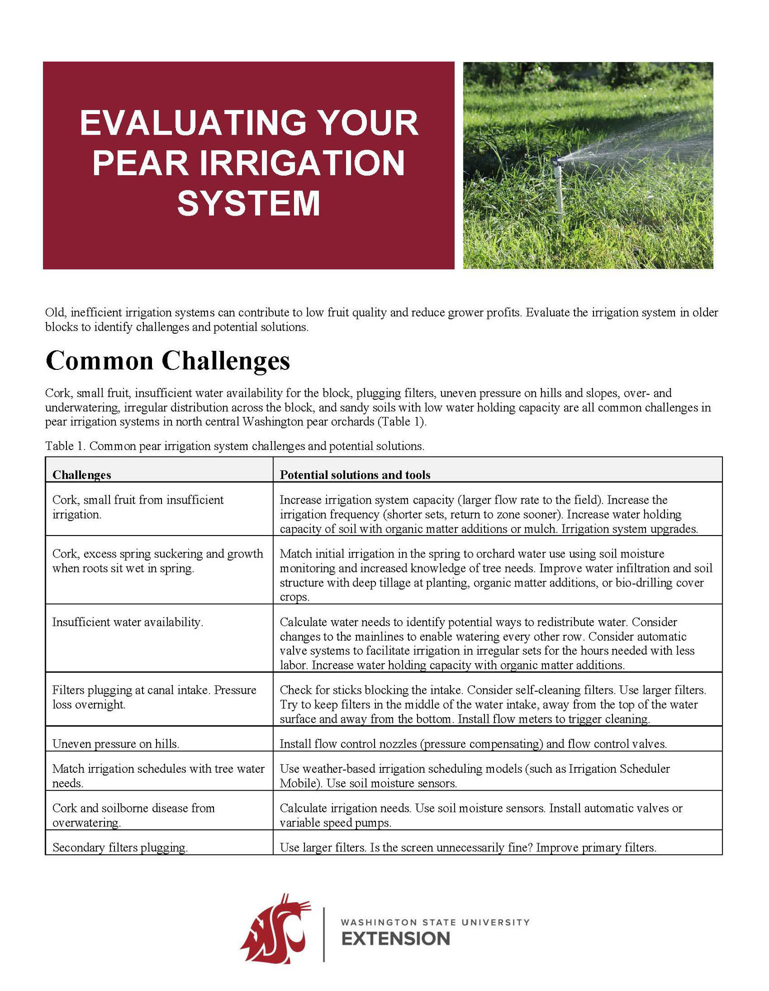 Evaluating Your Pear Irrigation System | WSU Extension Publications ...