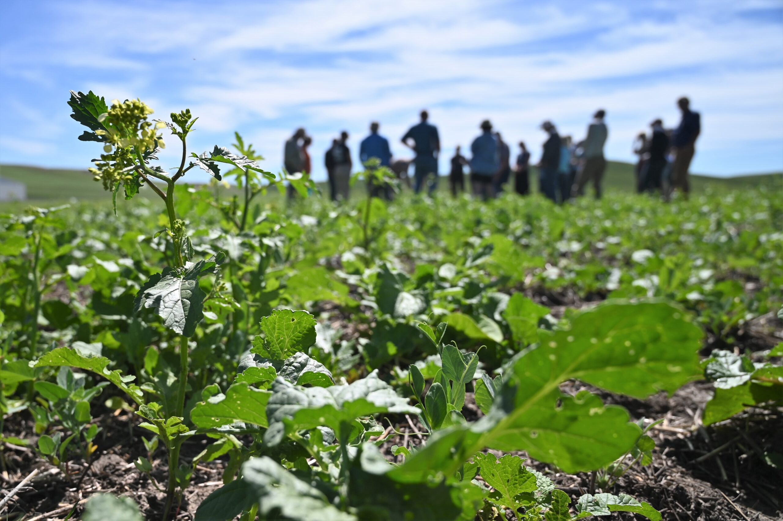 Anticipated Climate Change Impacts on Agriculture in Washington State ...