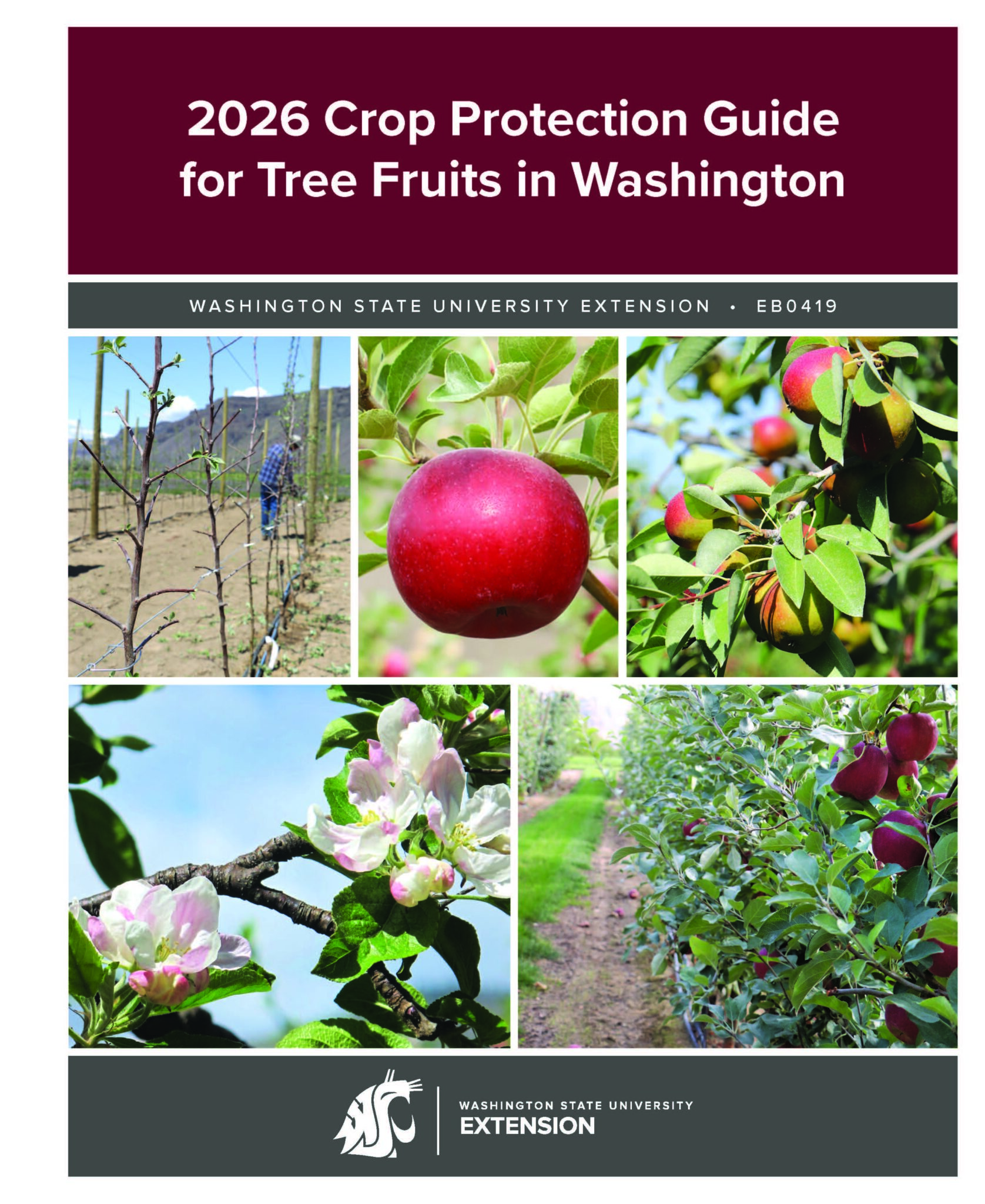 2026 Crop Protection Guide for Tree Fruits in Washington | WSU ...
