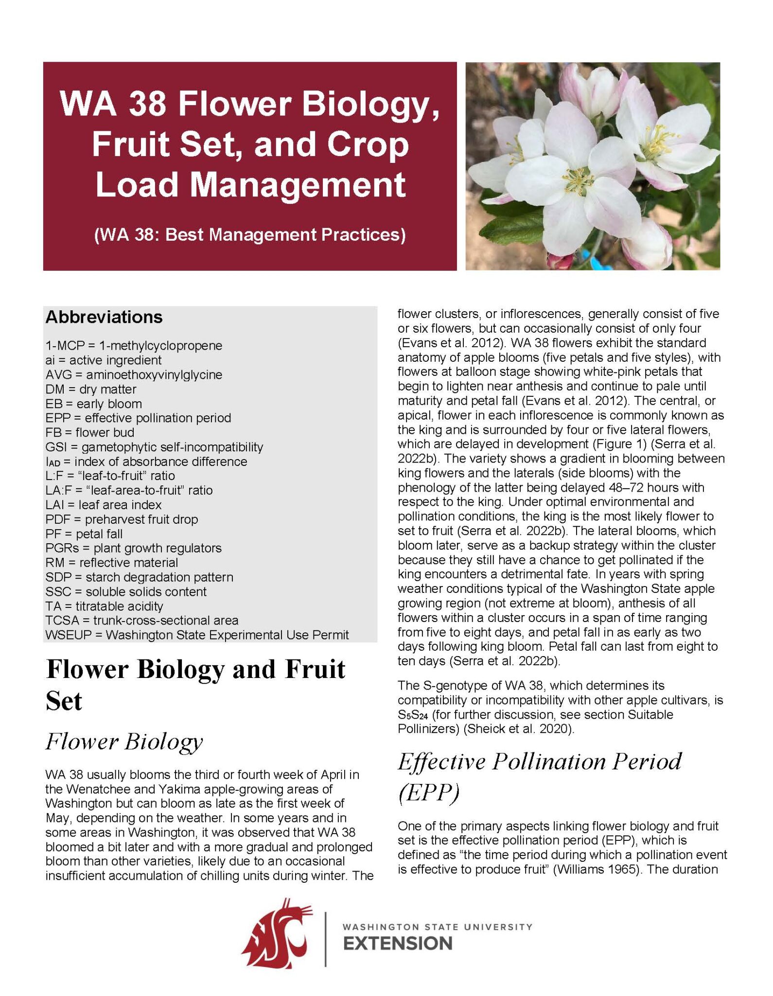 WA 38 Flower Biology, Fruit Set, and Crop Load Management | WSU ...