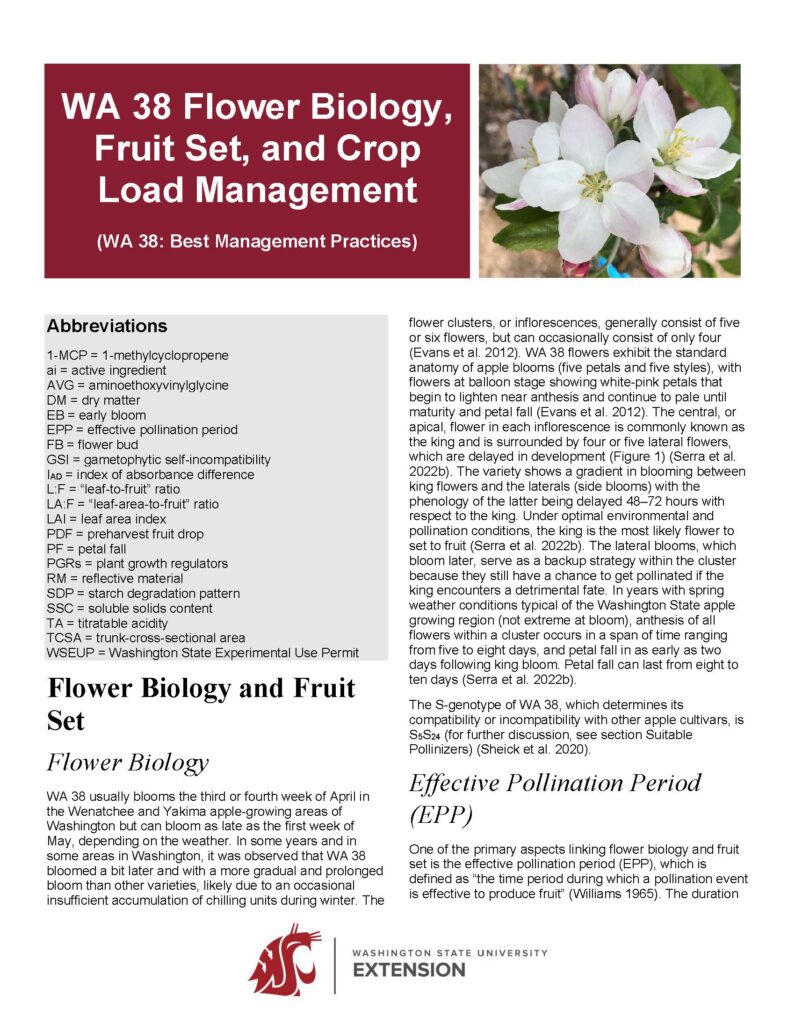WA 38 Flower Biology, Fruit Set, and Crop Load Management | WSU ...