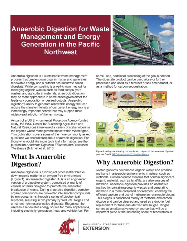 Anaerobic Digestion for Waste Management and Energy Generation in the ...