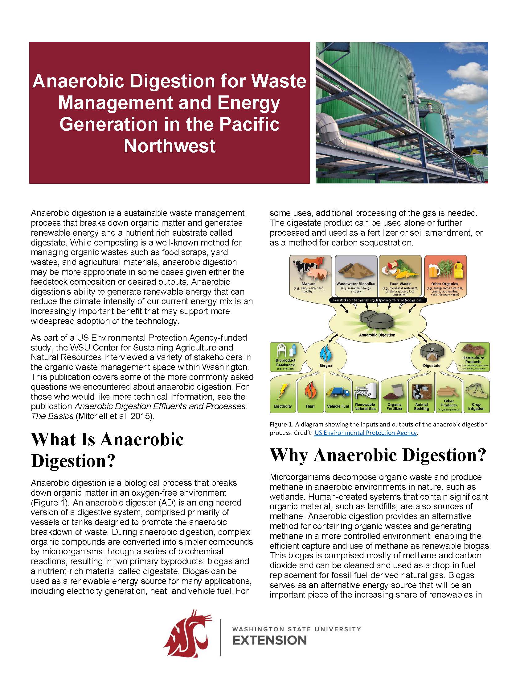 Anaerobic Digestion for Waste Management and Energy Generation in the ...