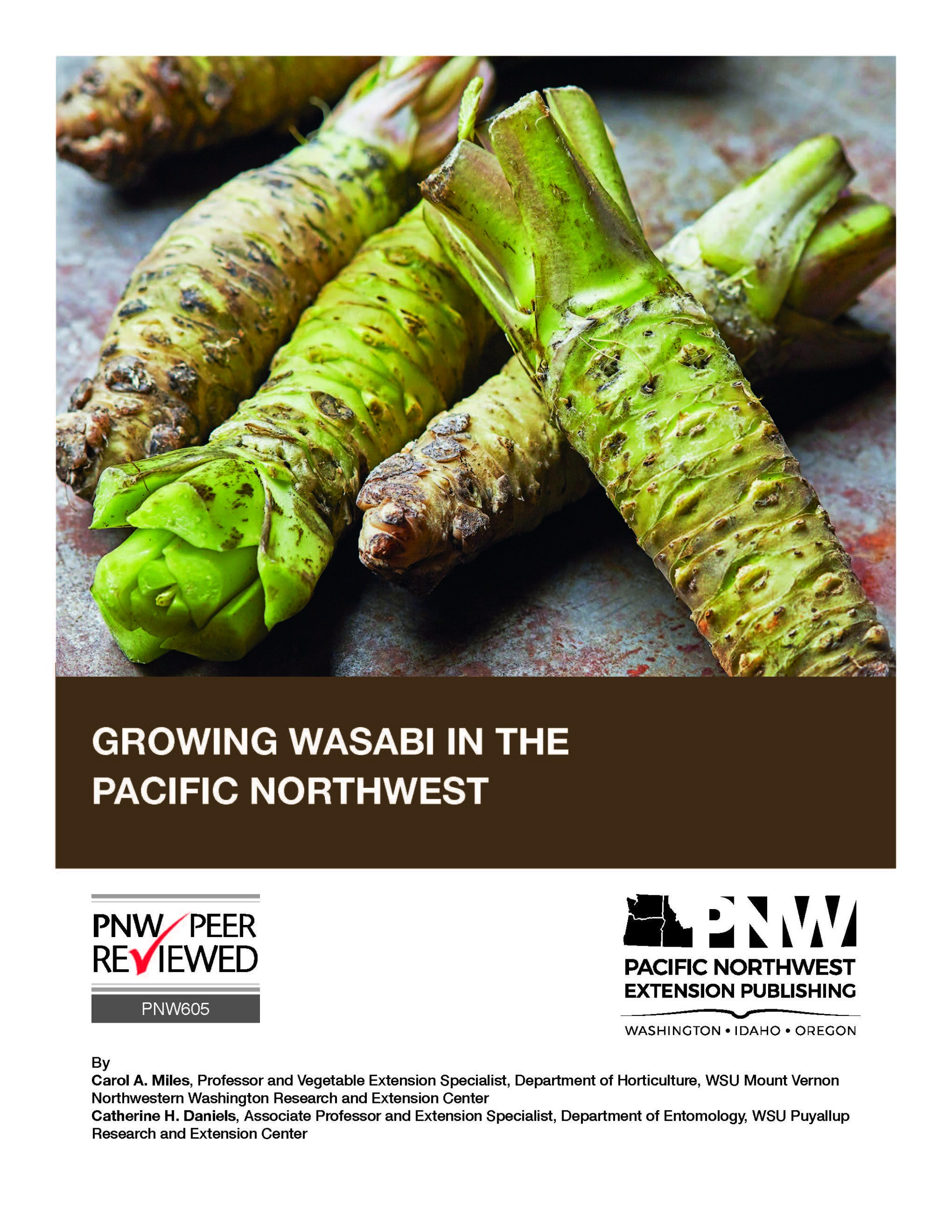 Growing Wasabi in the Pacific Northwest | WSU Extension Publications ...