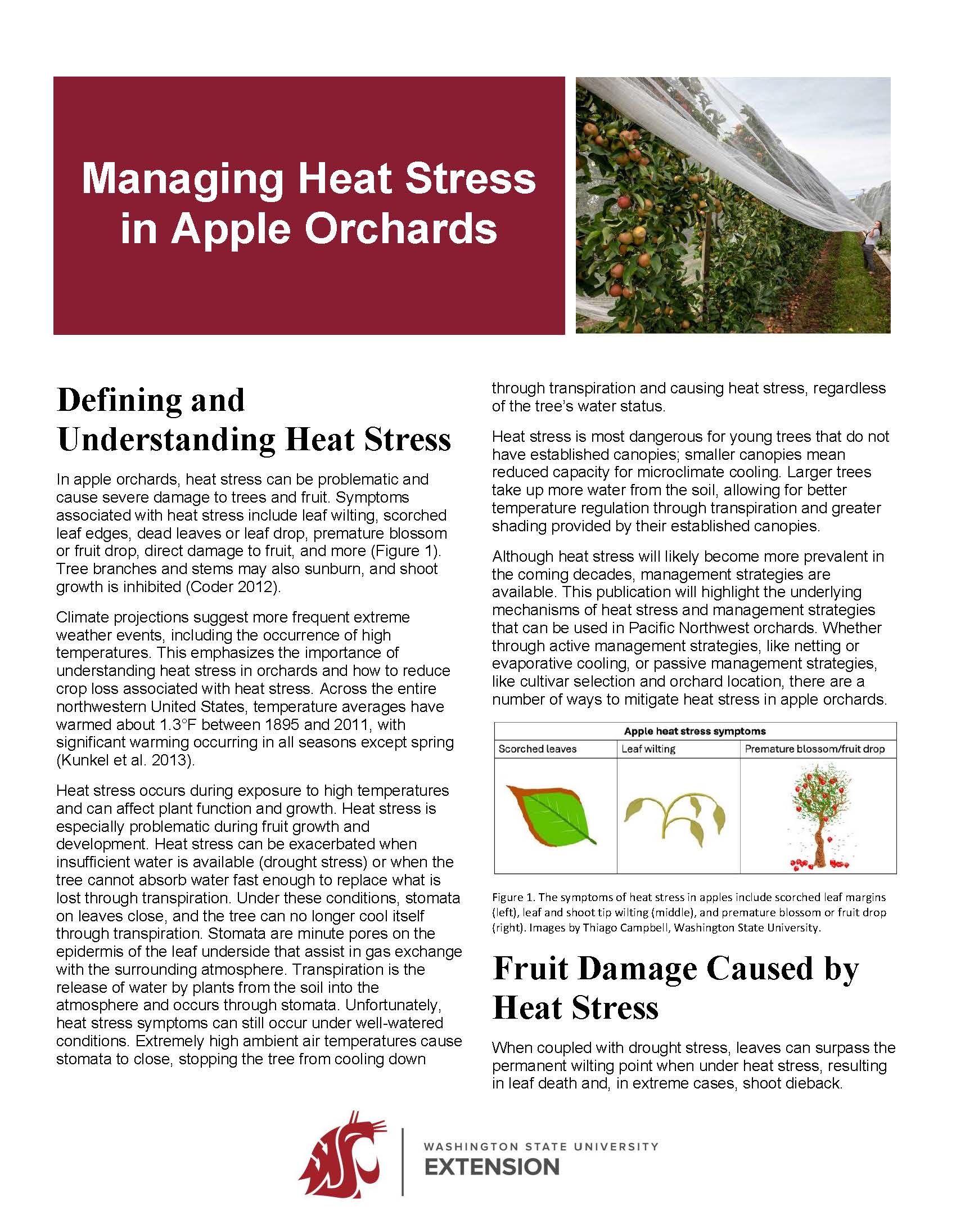 Managing Heat Stress in Apple Orchards | WSU Extension Publications ...