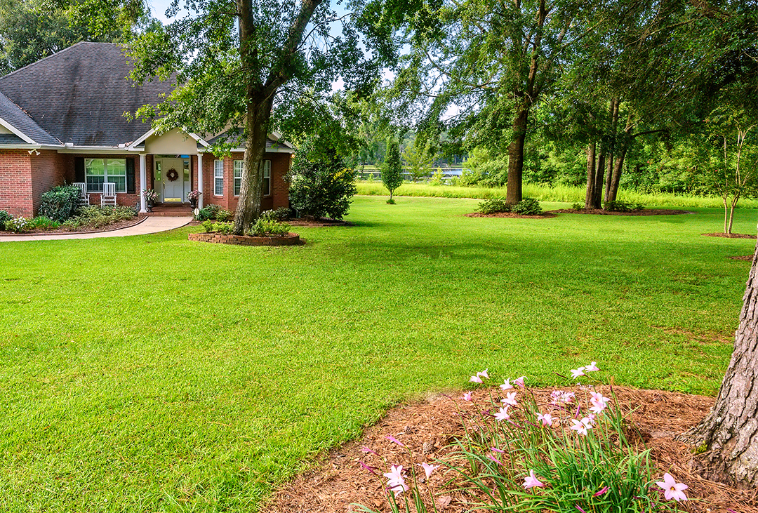 Home Lawns | WSU Extension Publications | Washington State University