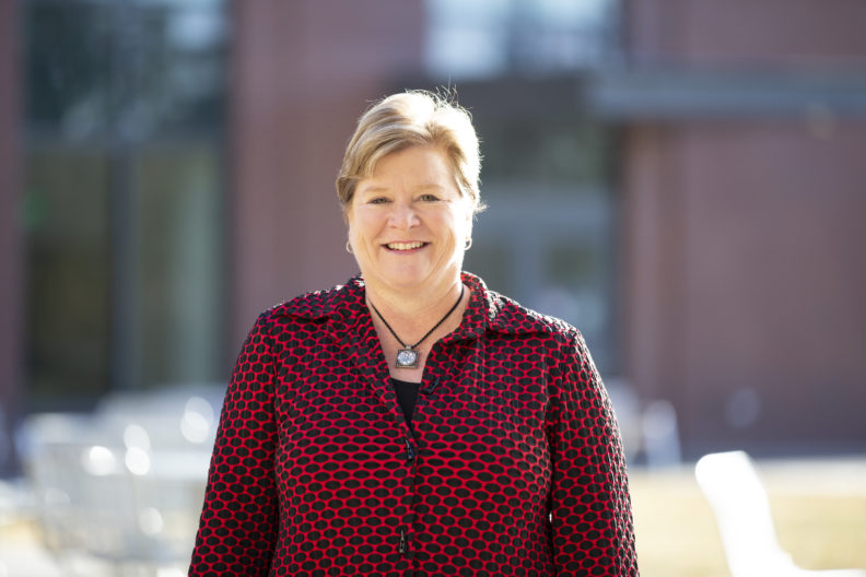 Development Team | College of Education, Sport, and Human Sciences ...