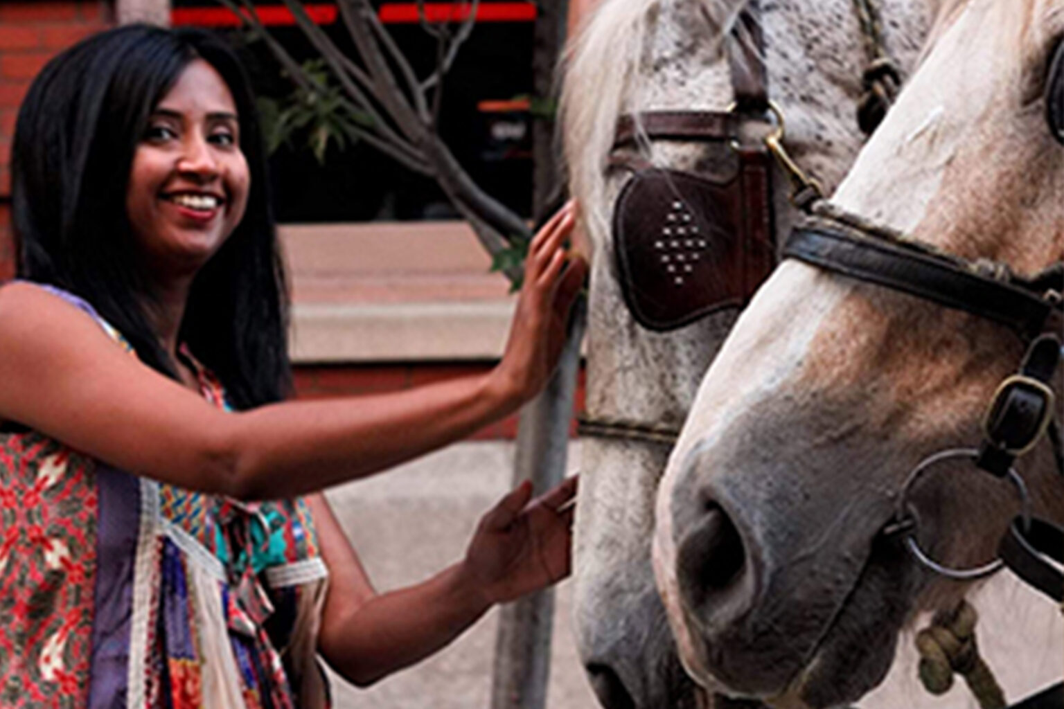 Mathematics and Science Education – Doctoral Students | College of ...