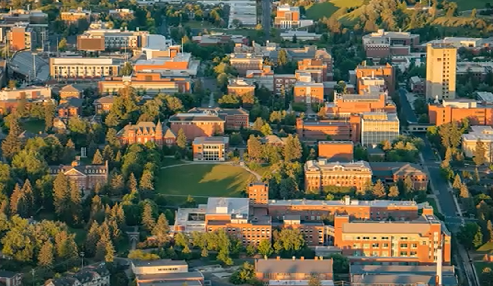 WSU ROAR: FAQs | College of Education, Sport, and Human Sciences ...