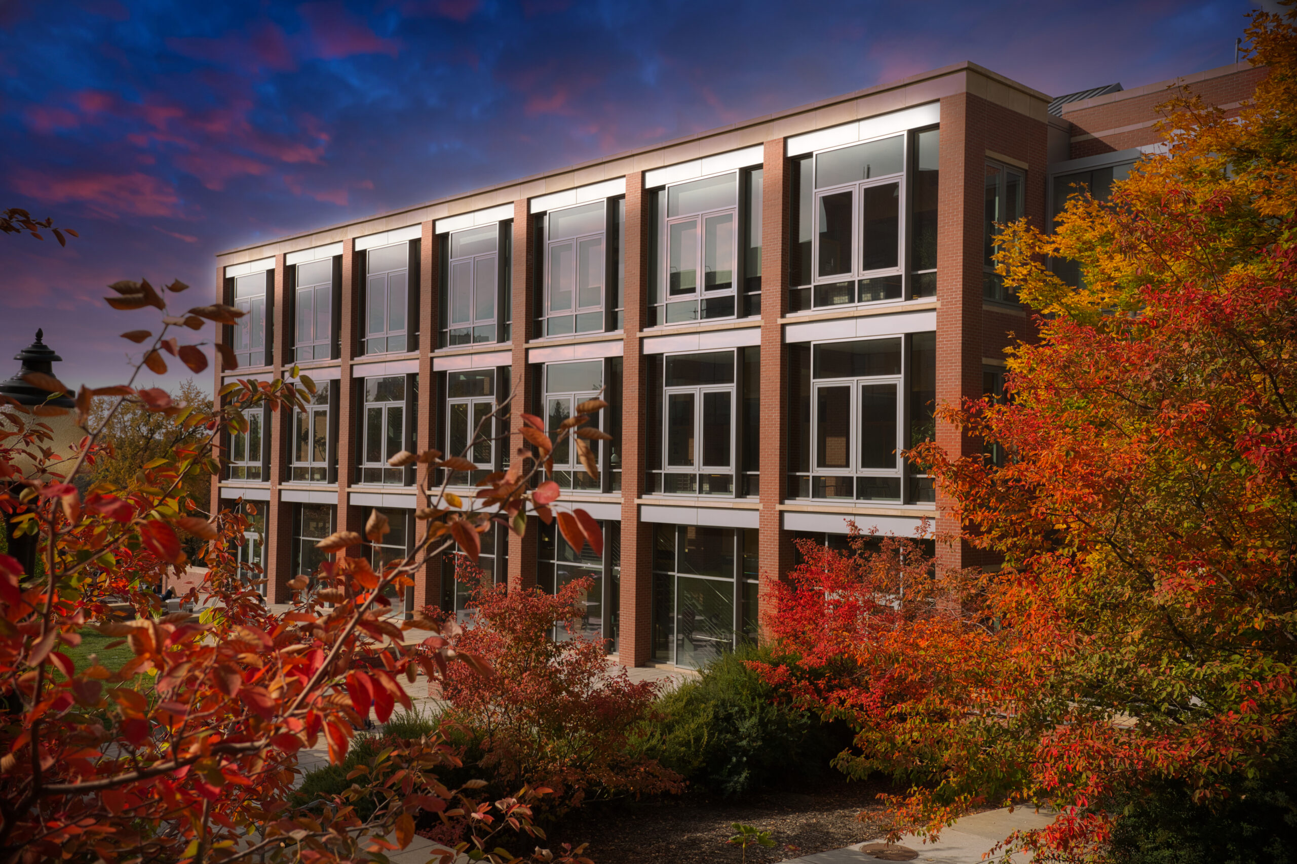 Department of Teaching and Learning | College of Education, Sport, and ...