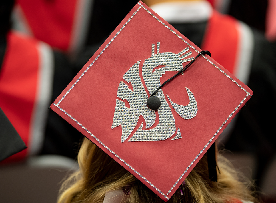 Our Graduate Assistants | College of Education, Sport, and Human ...