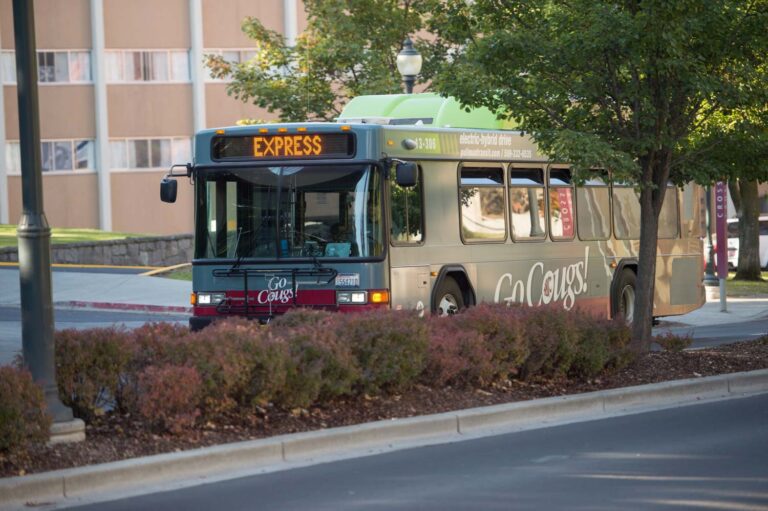 Student Resources | College of Education, Sport, and Human Sciences ...