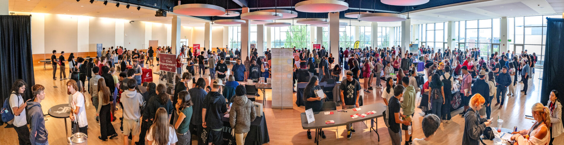 Advising | College of Education, Sport, and Human Sciences | Washington ...